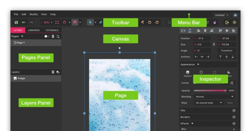 5 Best Vector Graphics Software & Advantages 2025 | Online Vector Editor