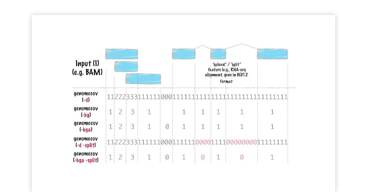 15 Open Source & Free Bioinformatics Tools for Genomic Testing 2025