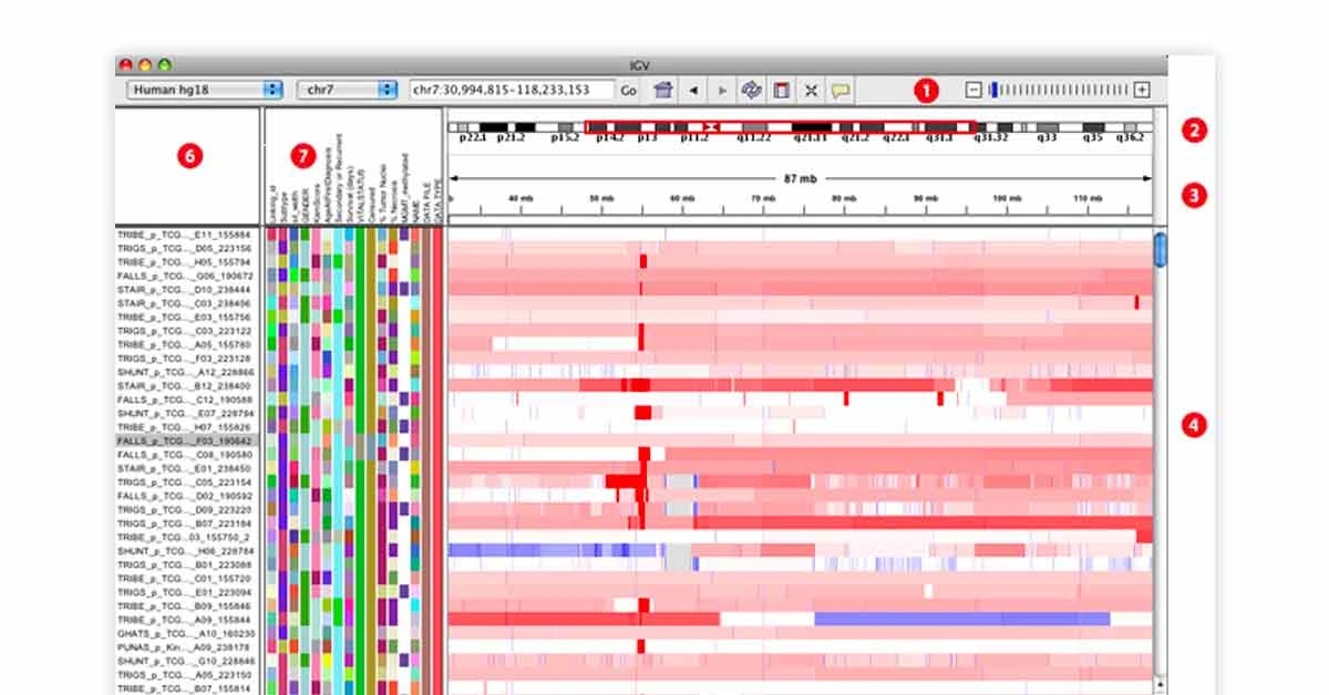 15 Open Source & Free Bioinformatics Tools for Genomic Testing 2025