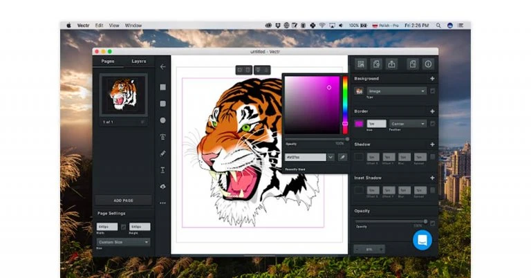 17 Best Free and Open Source Web Design Software in 2025