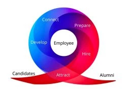 Best Employee Lifecycle Management Strategies for Higher Productivity