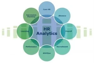 Best HR Analytics Tools for Business in 2025