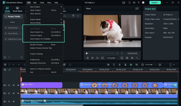 How to Use Filmora for Making Professional Videos?