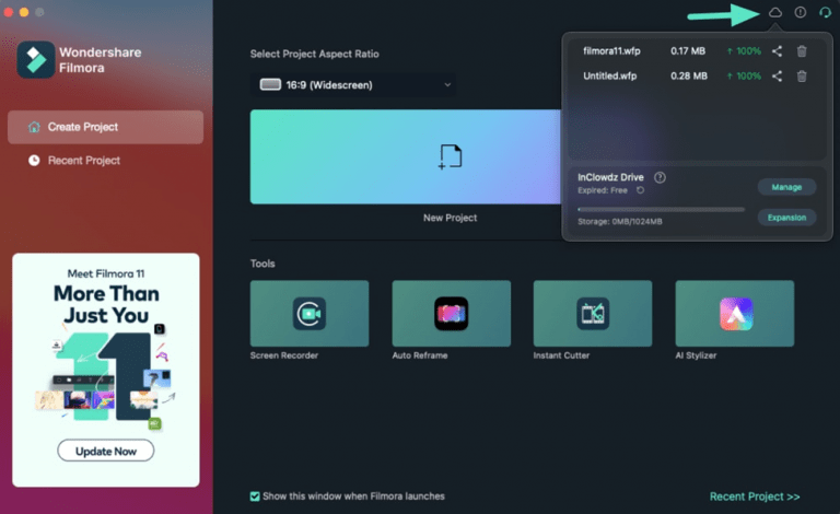 How to Use Filmora for Making Professional Videos?